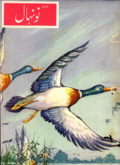 Naunehal August 1965 - Nayab Kutab