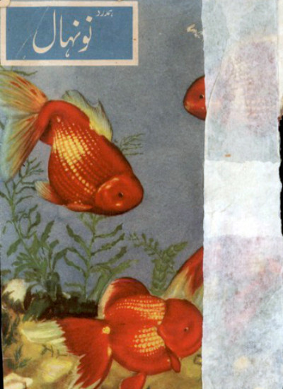 Naunehal January 1965 - Nayab Kutab