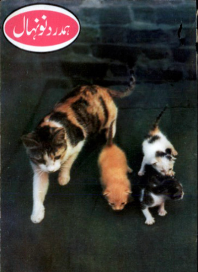 Naunehal November 1965 - Nayab Kutab