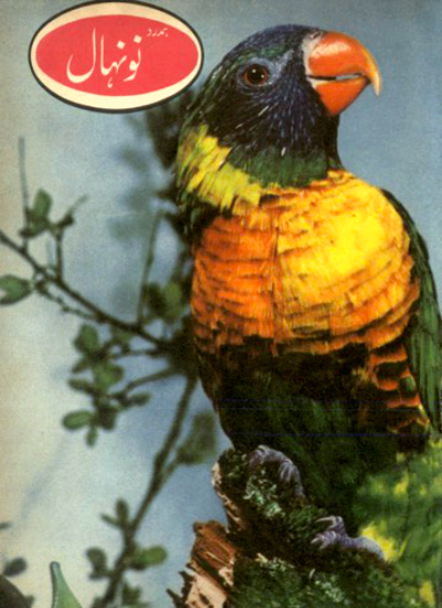 naunehal October 1971 - Nayab Kutab